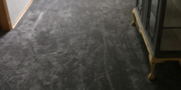 Bari Carpet - The Carpet & Floor Store